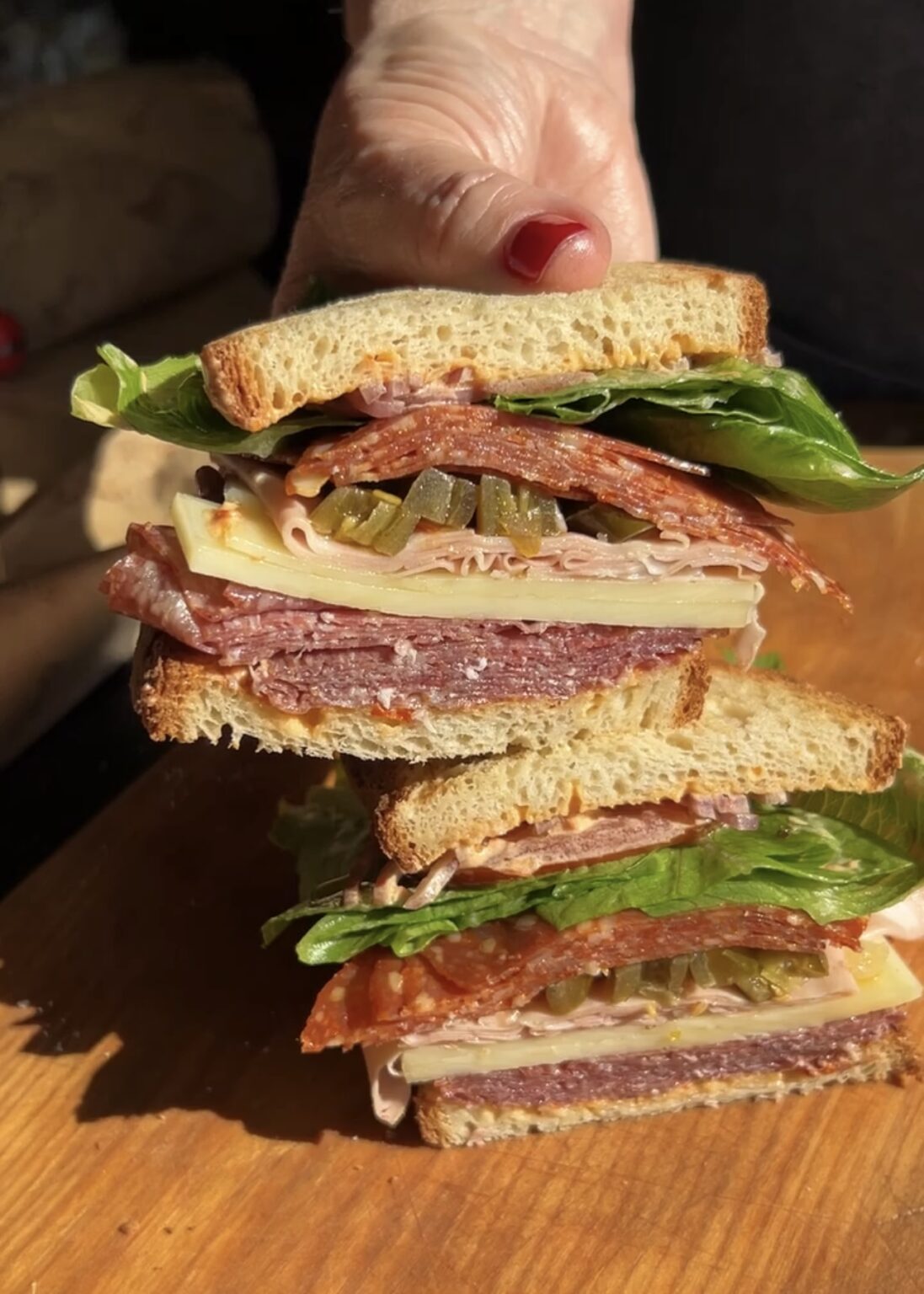 Fall In Love With Teri's Sandwich Recipes - nocrumbsleft