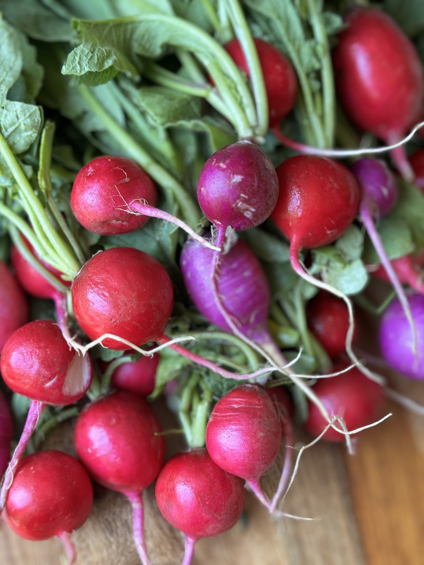Best Summer Radish Salad: easy, light, and delicious - nocrumbsleft